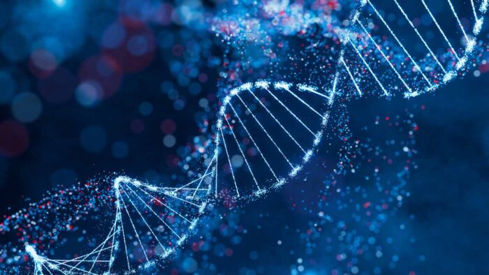 EmbryoScope and the future of IVF: how technology is changing fertility ...