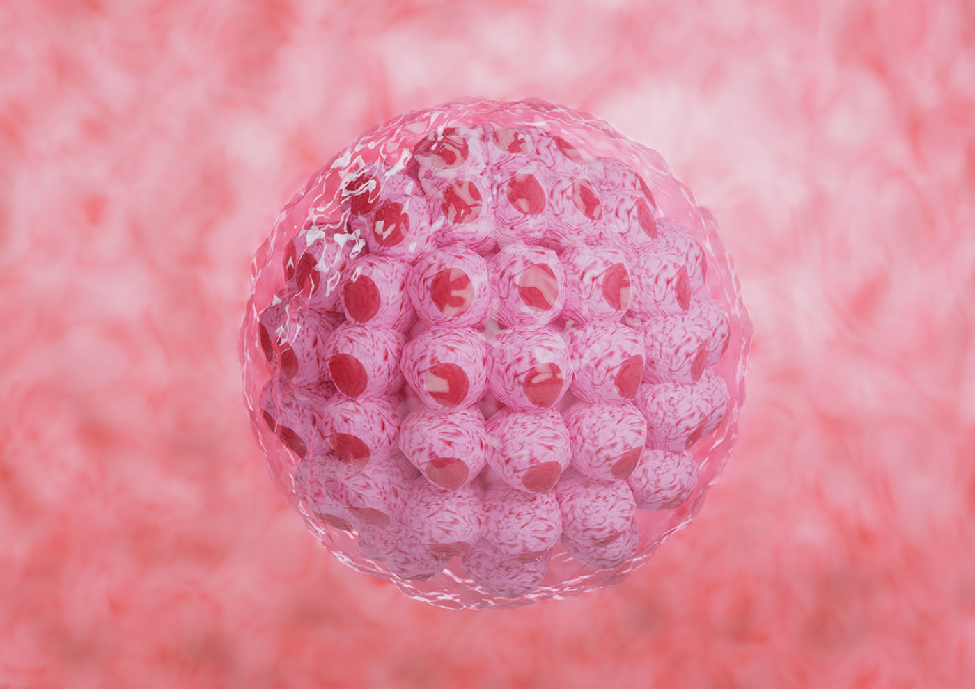 Entenda a FIV: um Guia para Principiantes - Ferticentro